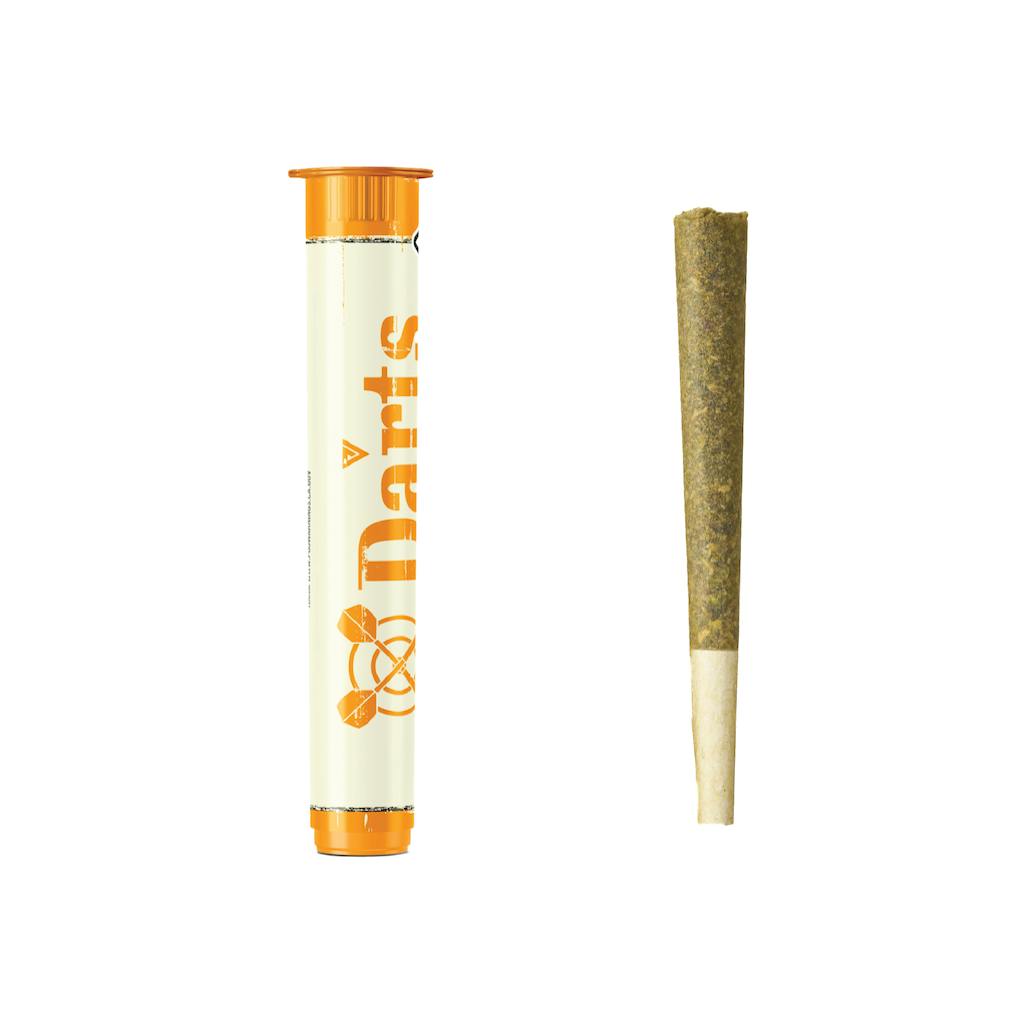 Point Break 1G Pre Roll Dart Ember Valley