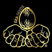 Gea Seeds Cannabis Seeds for Sale
