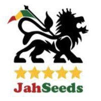 Jah Seeds Products | Weedmaps