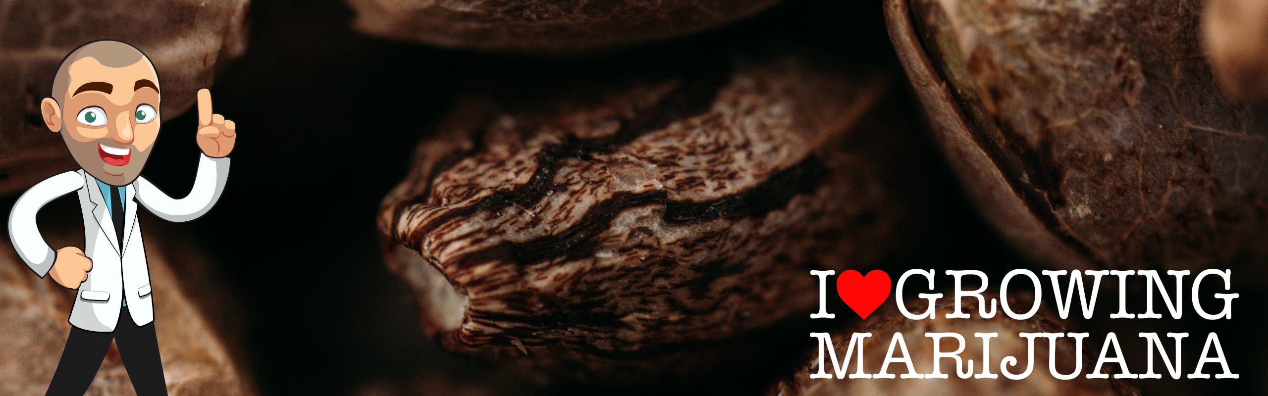 I Love Growing Marijuana Products | Weedmaps