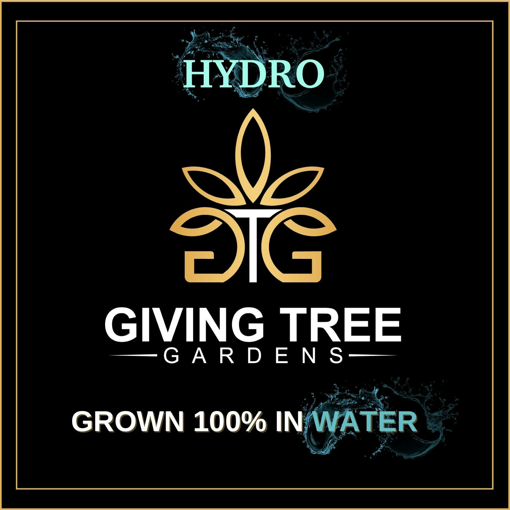 . Giving Tree Gardens . Products | Weedmaps
