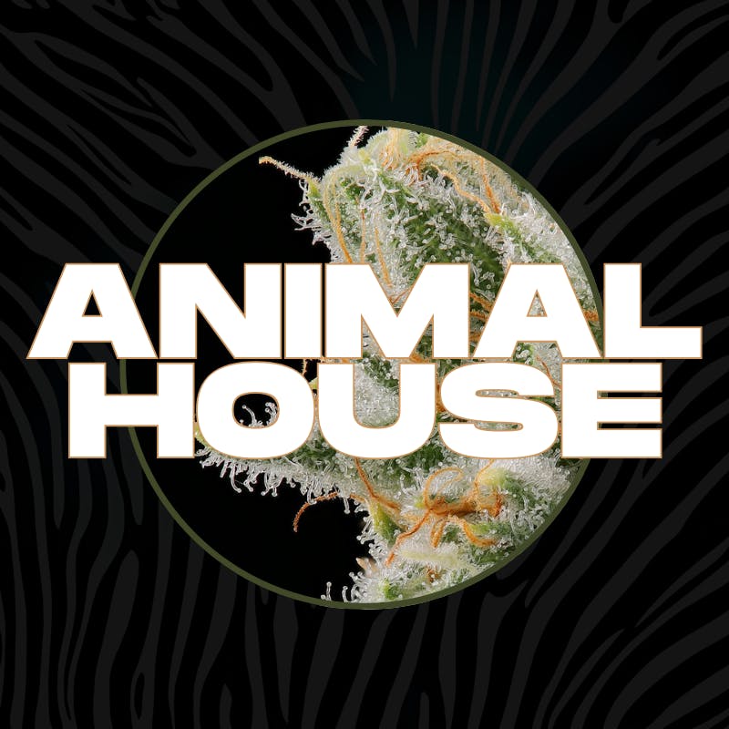 Animal House Products | Weedmaps