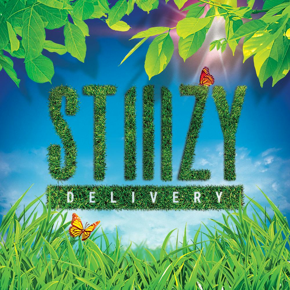 STIIIZY DELIVERY Weed Flower for Sale