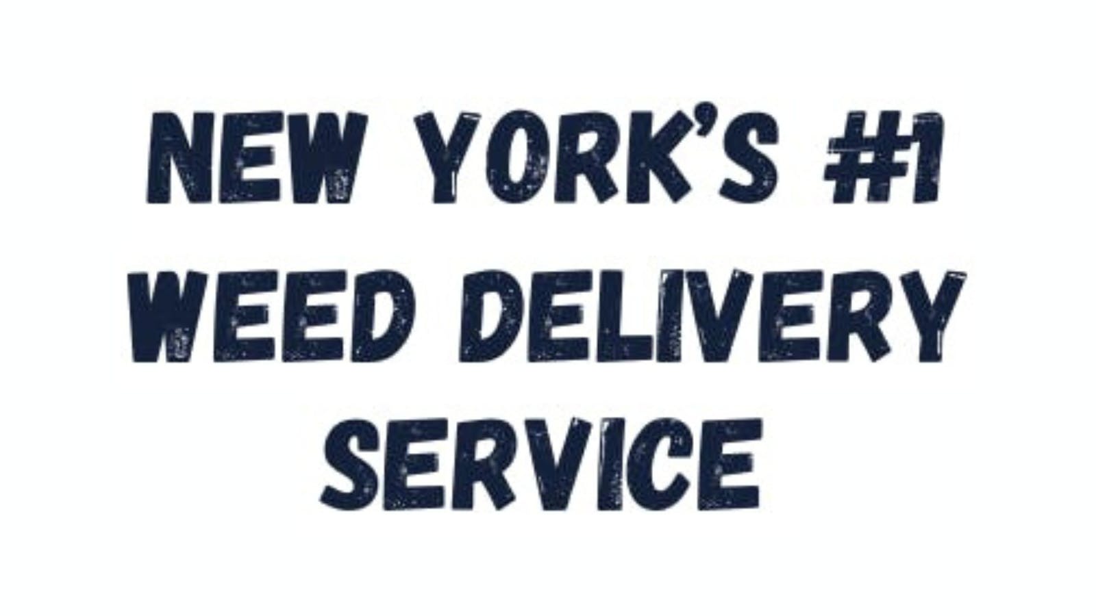 Sesh Logo Bones × Team Sesh × Teamsesh New Team Sesh Bones Merch