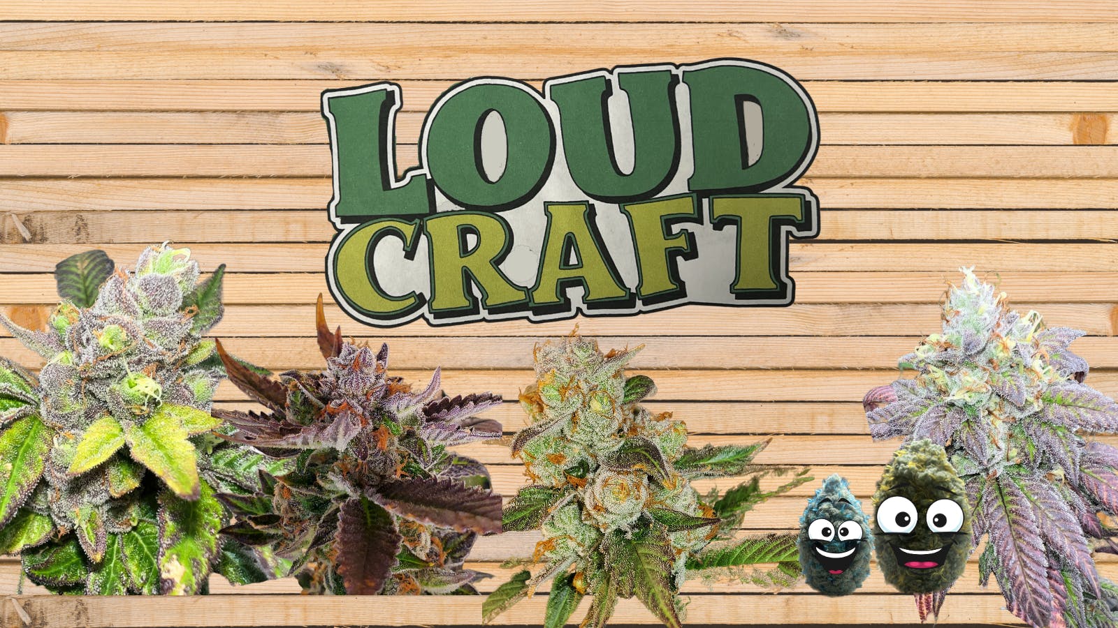 Weed Maps Colorado Springs