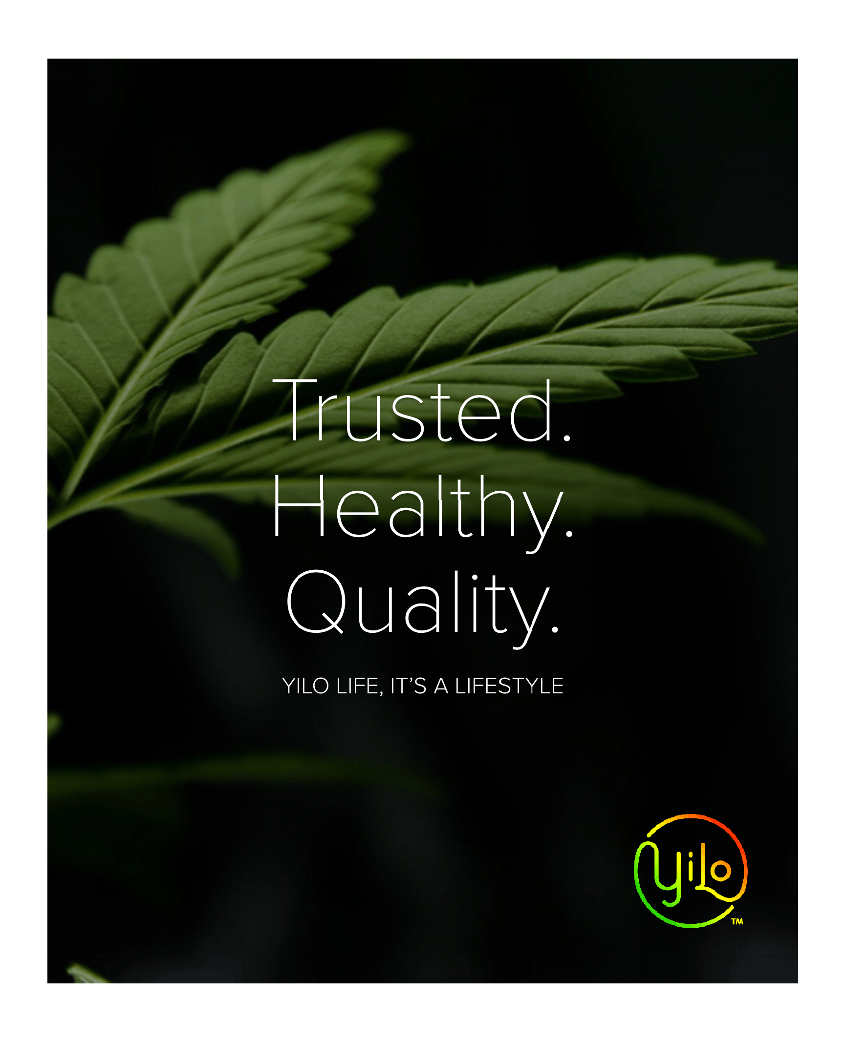 YiLo Superstore Menu, Reviews, Deals - Weed Dispensary in Phoenix, Arizona