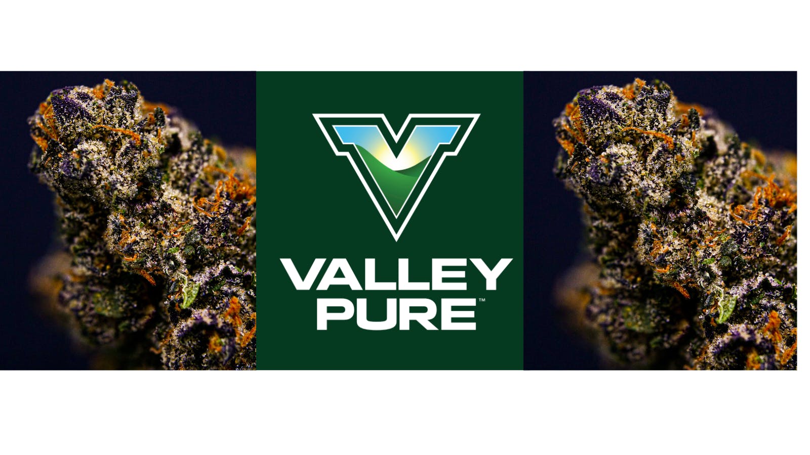 California Weed Maps CannaCruz Info, Menu & Deals Weed Dispensary