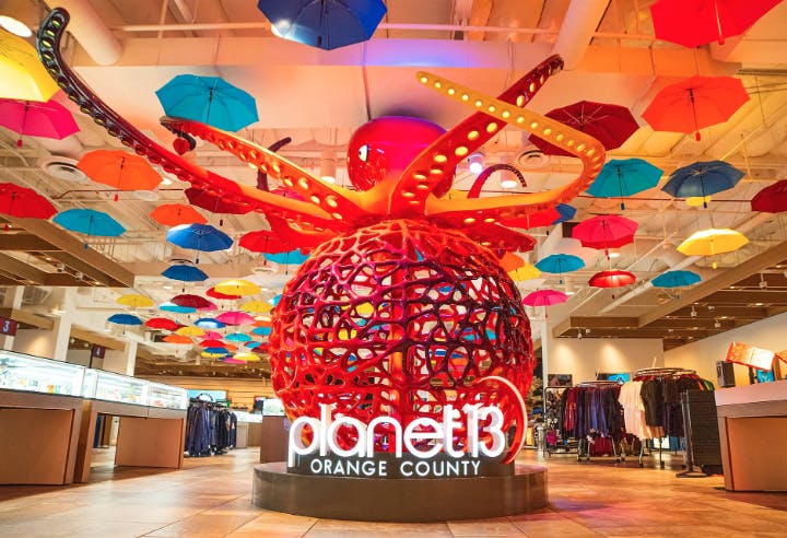 Planet 13 THC Balm for Sale