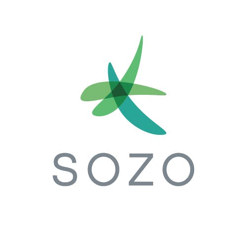 Sozo - Flint Vape Pens | Order Online