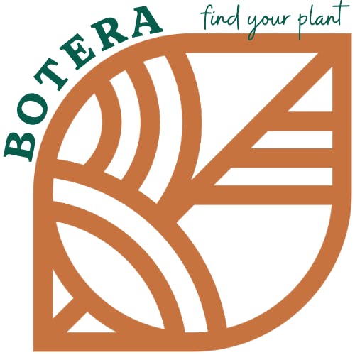 Botera Menu, Reviews, Deals - Weed Dispensary in Franklin, Massachusetts