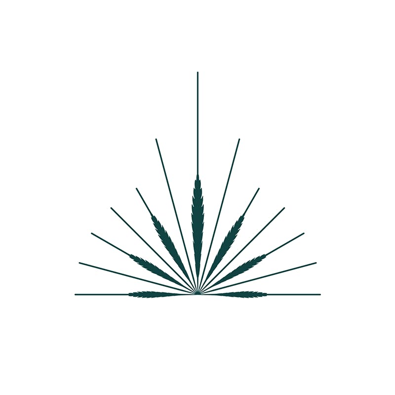 Georgetown Wellness Dispensary Menu, Reviews, Deals - Weed Dispensary ...