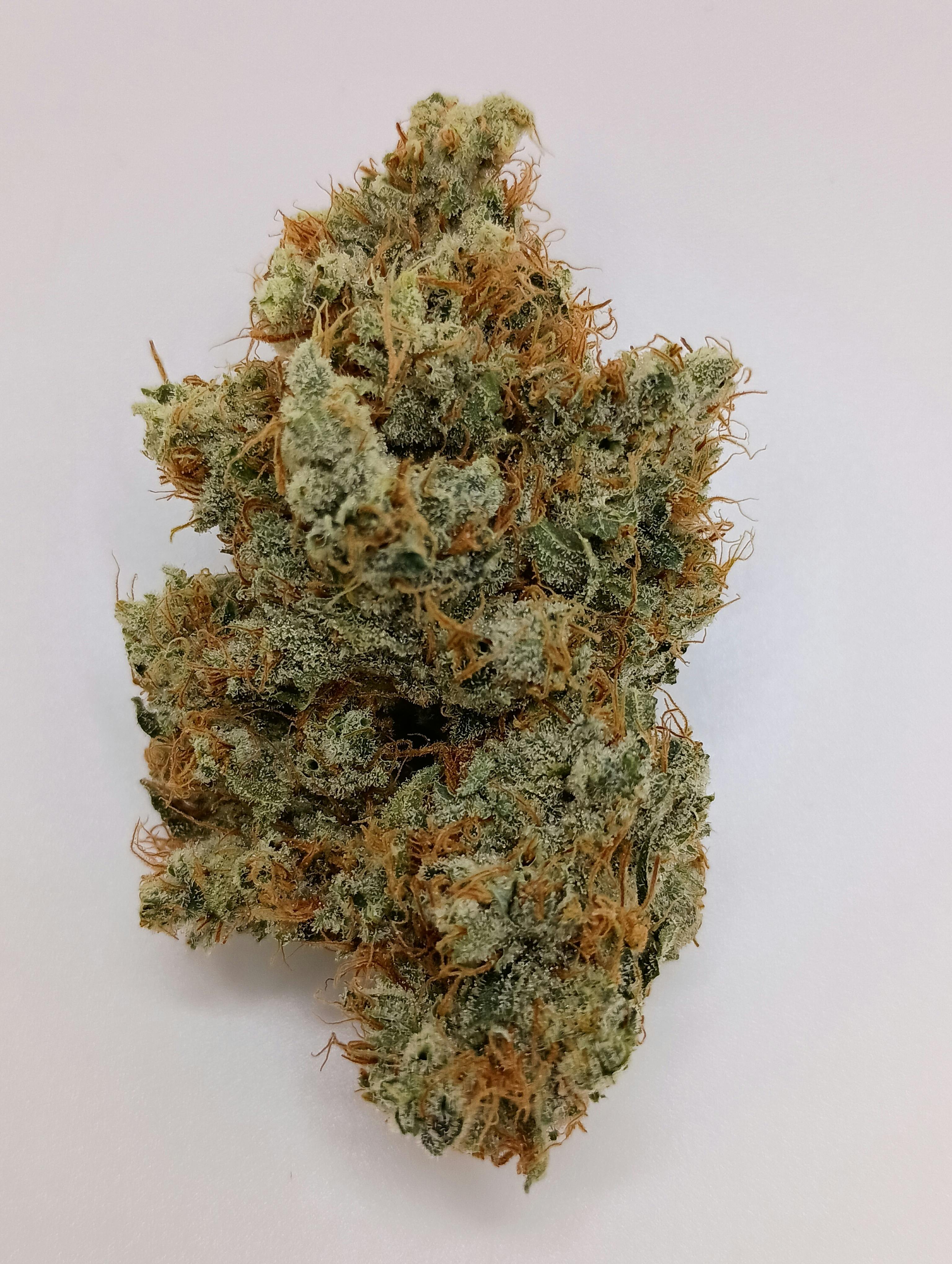 Captain's Cannabis - Sanford - Sanford, Maine Marijuana Dispensary