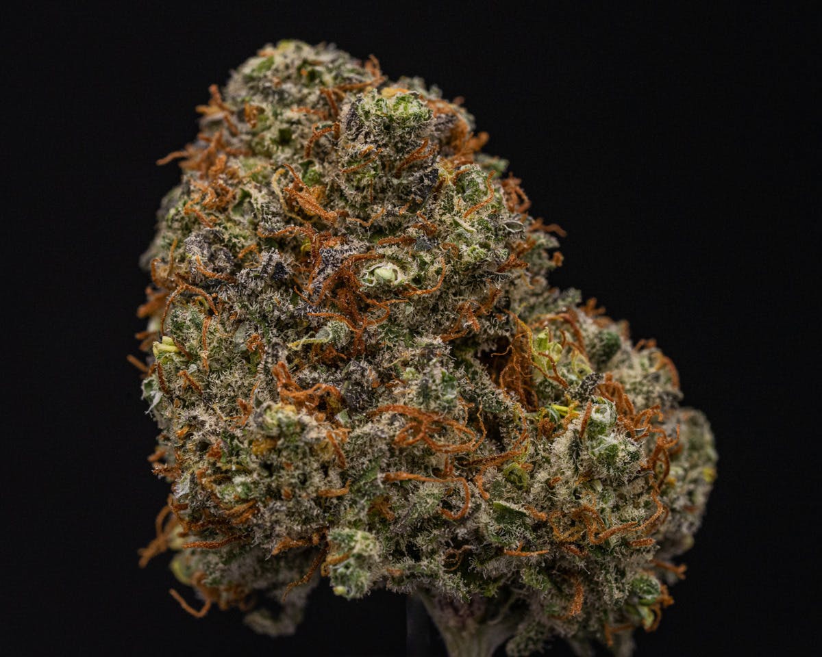 High Rollers - Mechanic Falls, Maine Marijuana Dispensary