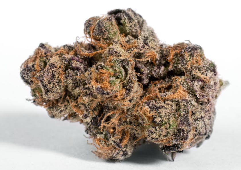 High Rollers - Mechanic Falls, Maine Marijuana Dispensary