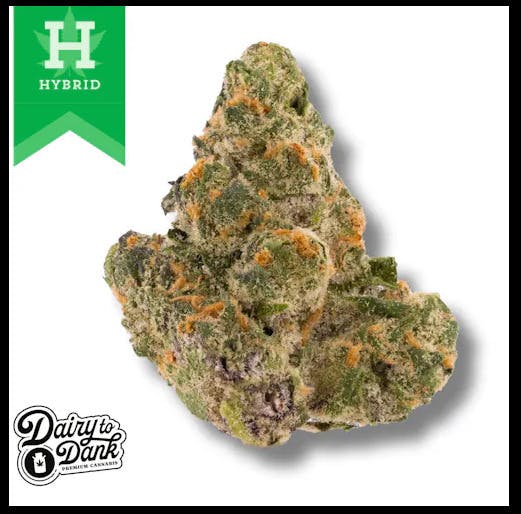 Oasis Cannabis Coors - NOW OPEN - Albuquerque, New Mexico Marijuana ...