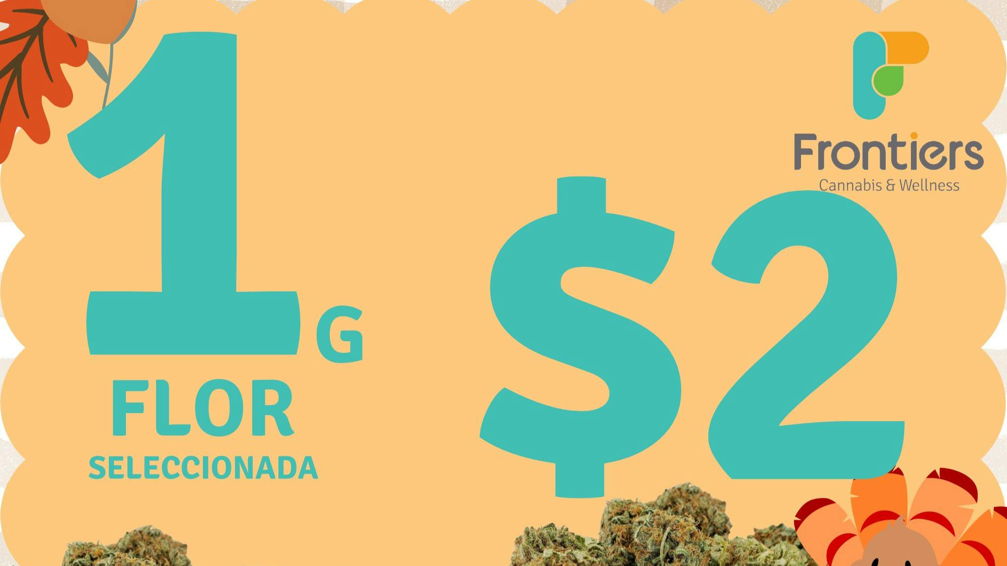 FRONTIERS FLOWER FEST at Frontiers Cannabis and Wellness - Patillas ...