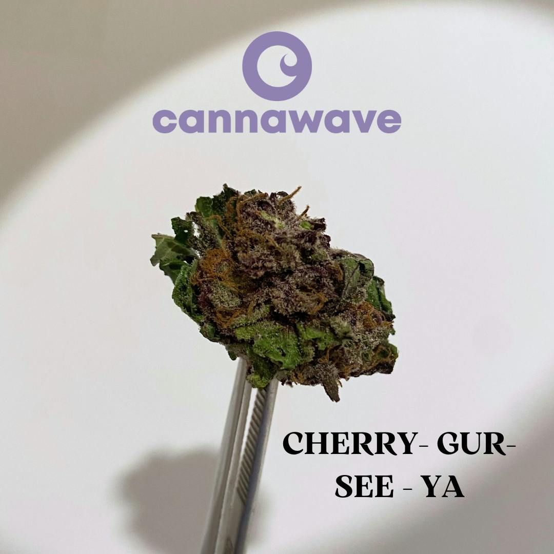 Cannawave - San Juan, Puerto Rico Marijuana Dispensary
