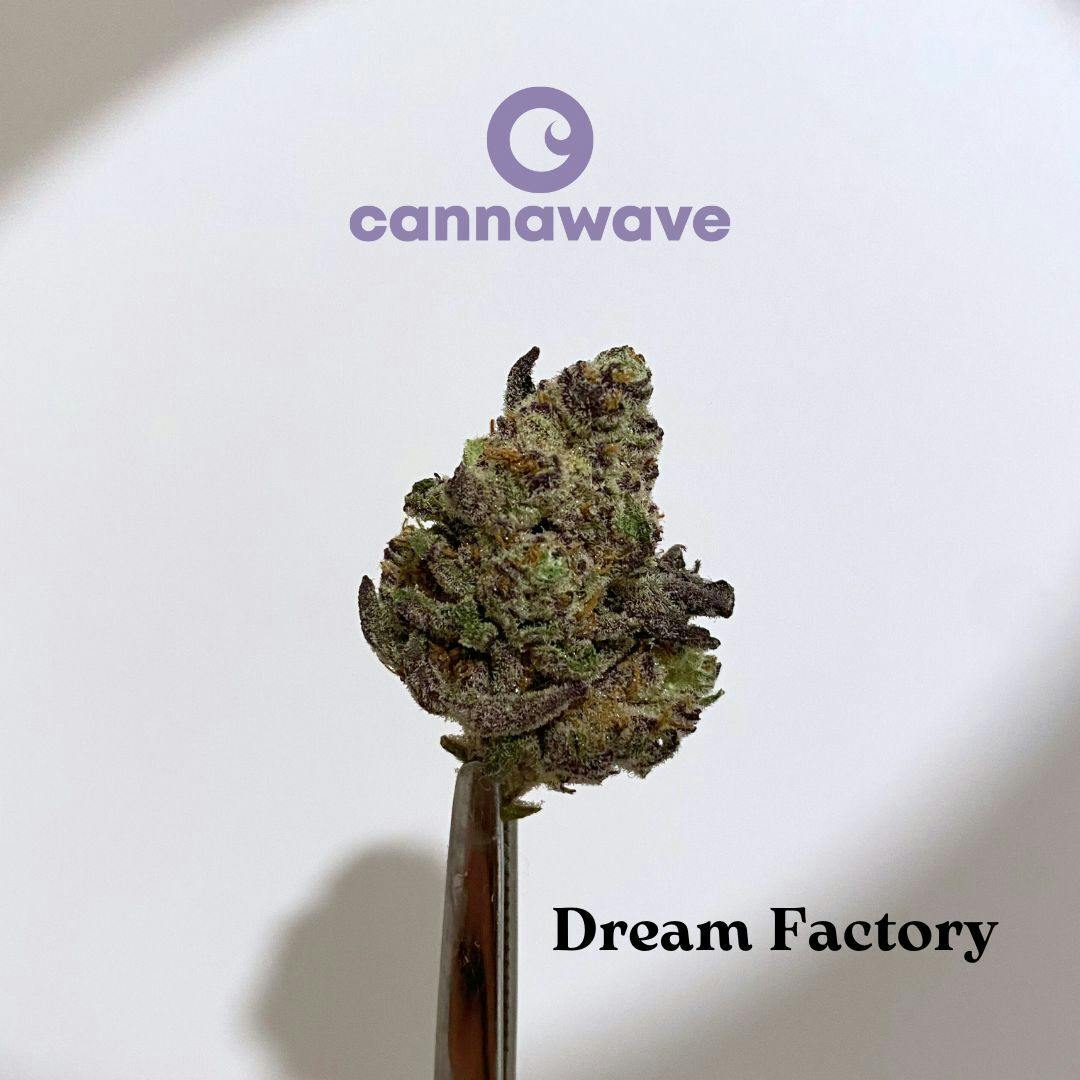 Cannawave - San Juan, Puerto Rico Marijuana Dispensary