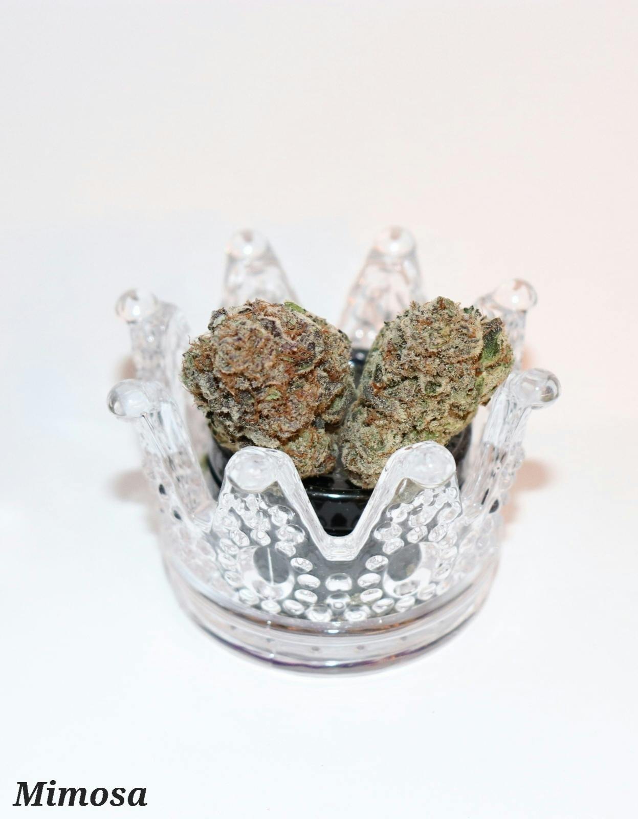 Stones Throw Cannabis - Belfast, Maine Marijuana Dispensary