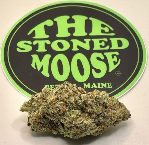 The Stoned Moose - Bethel, Maine Marijuana Dispensary