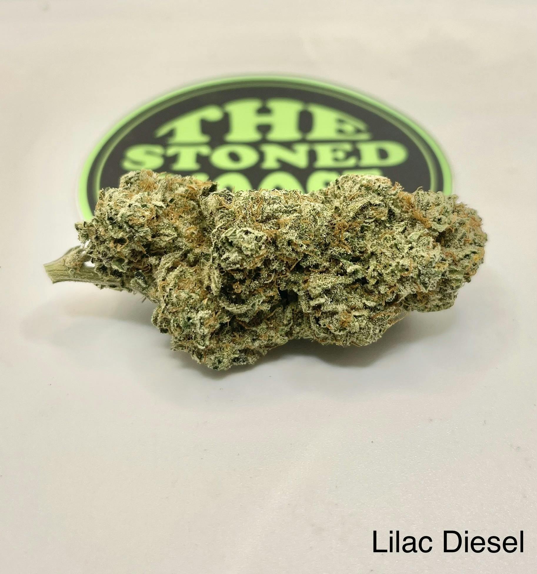 The Stoned Moose - Bethel, Maine Marijuana Dispensary