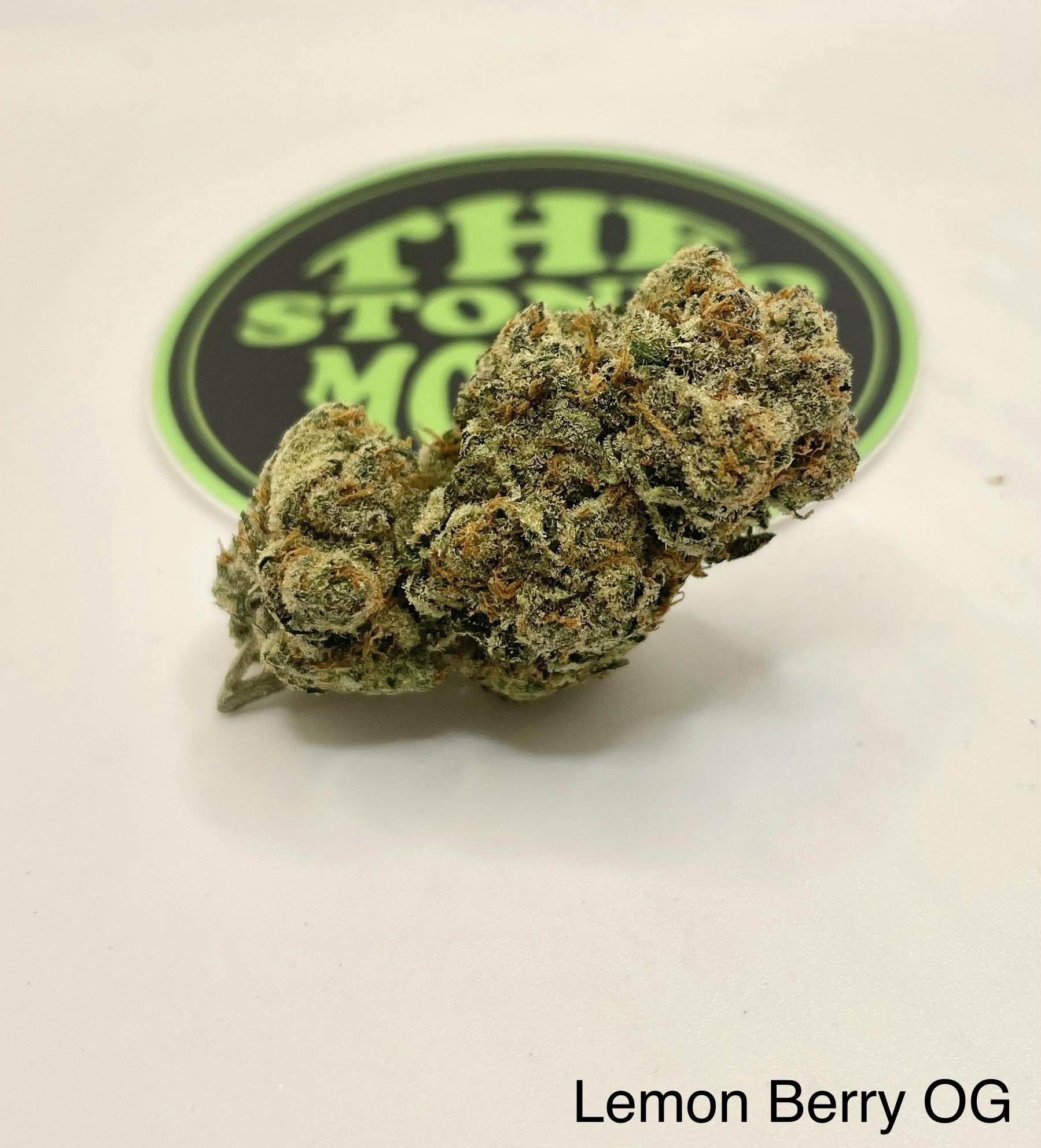 The Stoned Moose - Bethel, Maine Marijuana Dispensary