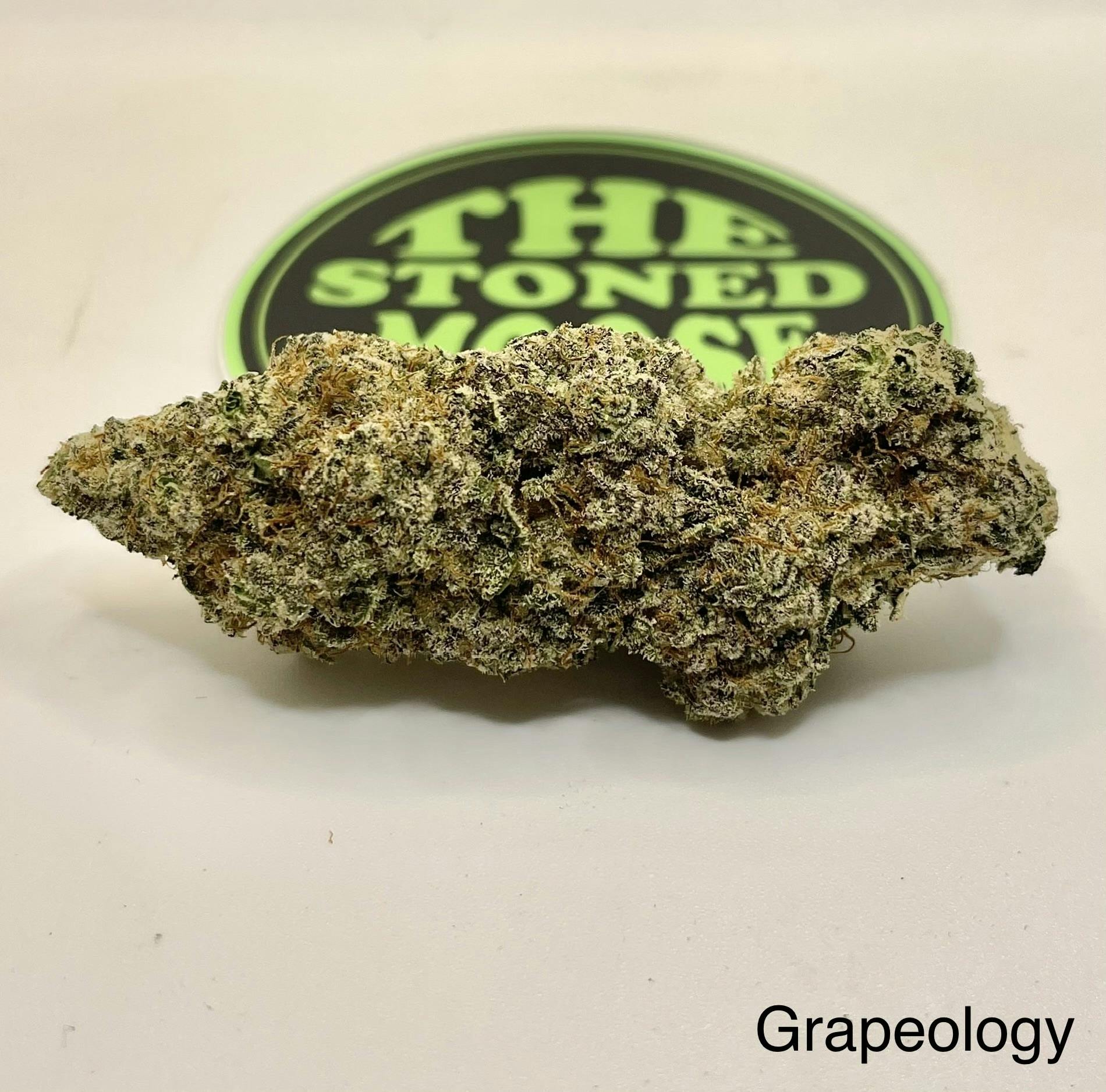 The Stoned Moose - Bethel, Maine Marijuana Dispensary