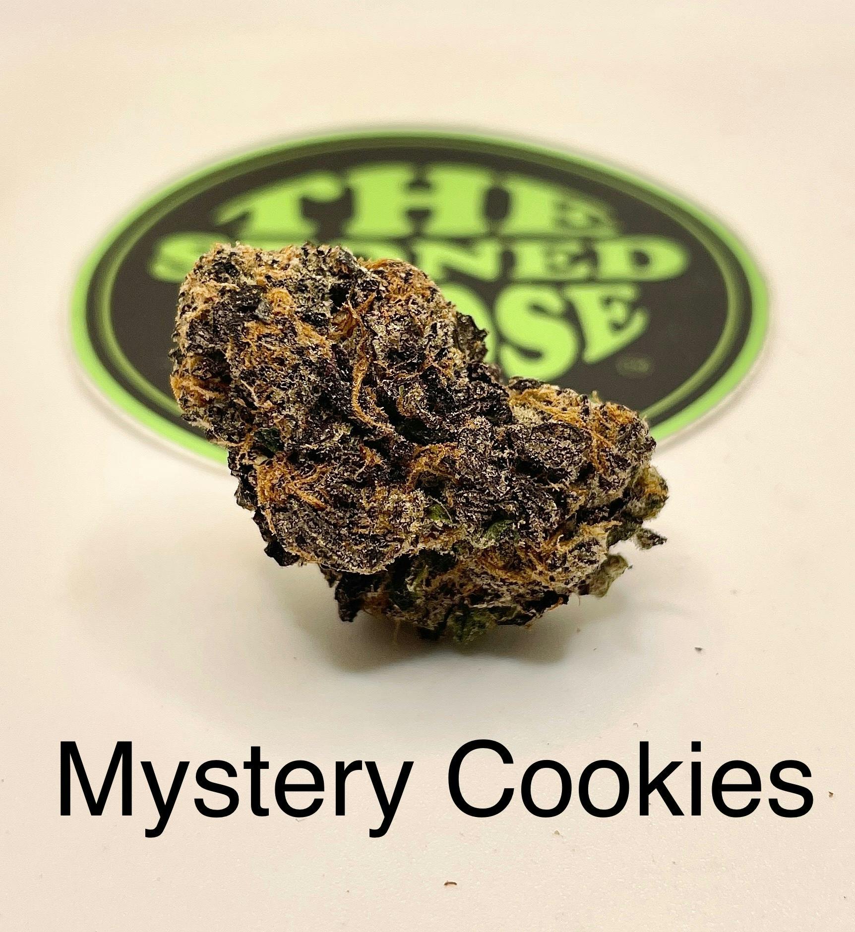 The Stoned Moose - Bethel, Maine Marijuana Dispensary