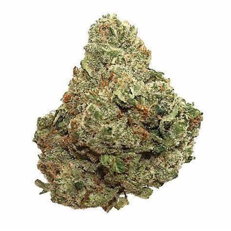 Home [violetbayarea.com]