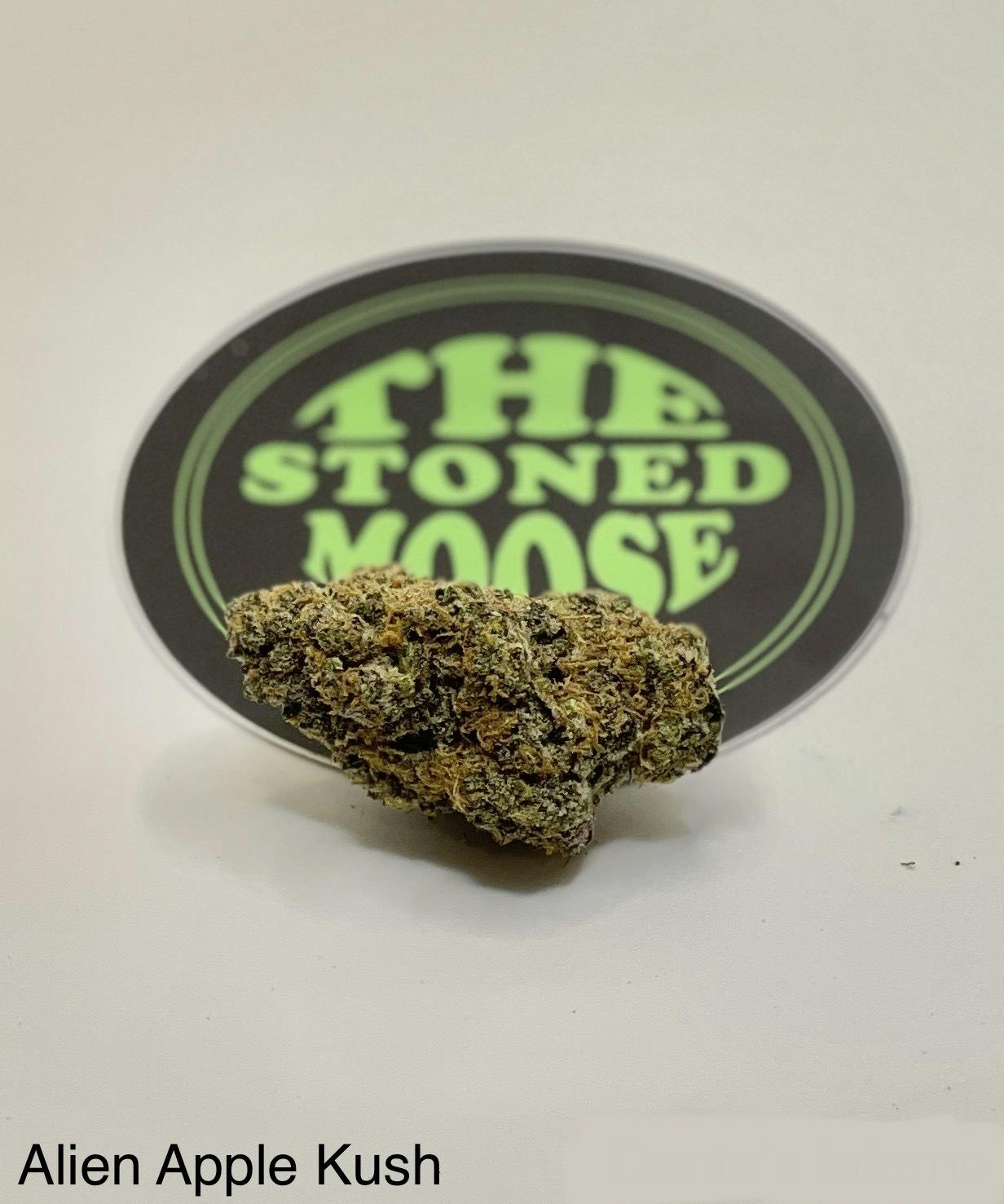 The Stoned Moose - Bethel, Maine Marijuana Dispensary