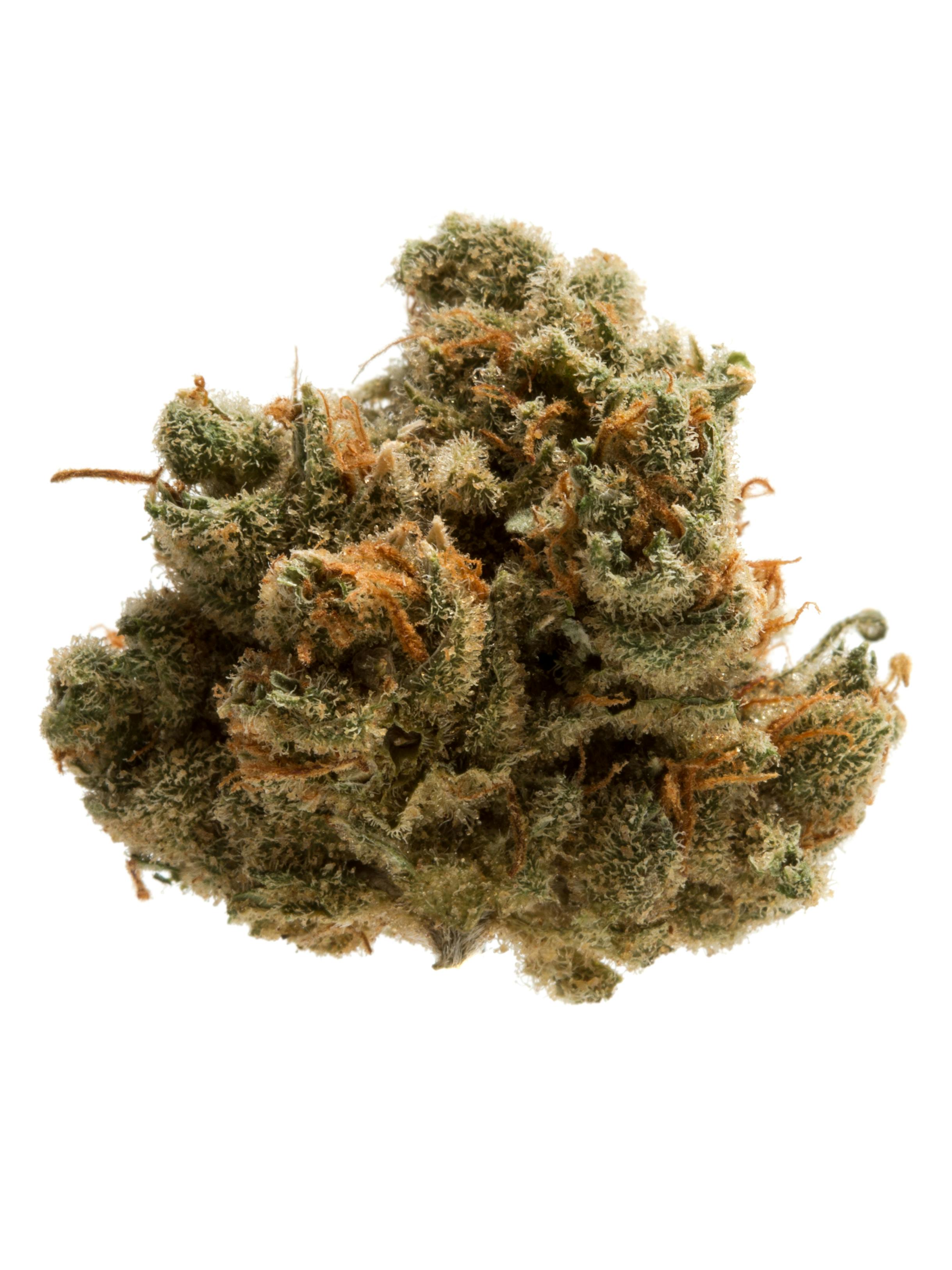 Headbanger 14G - Midori Delivery - Anaheim | Weedmaps