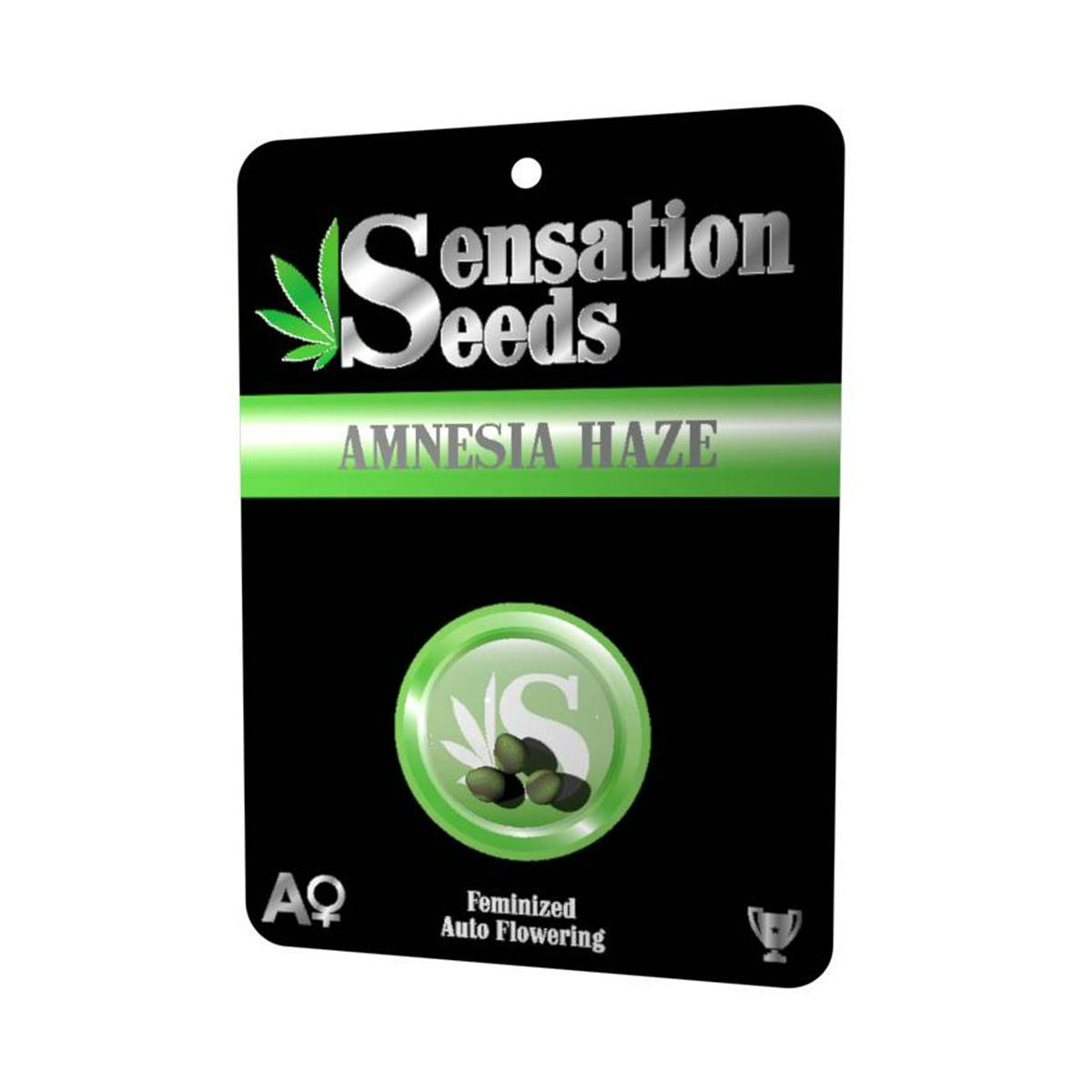 Amnesia Haze (Autoflowering) - Sensation Seeds