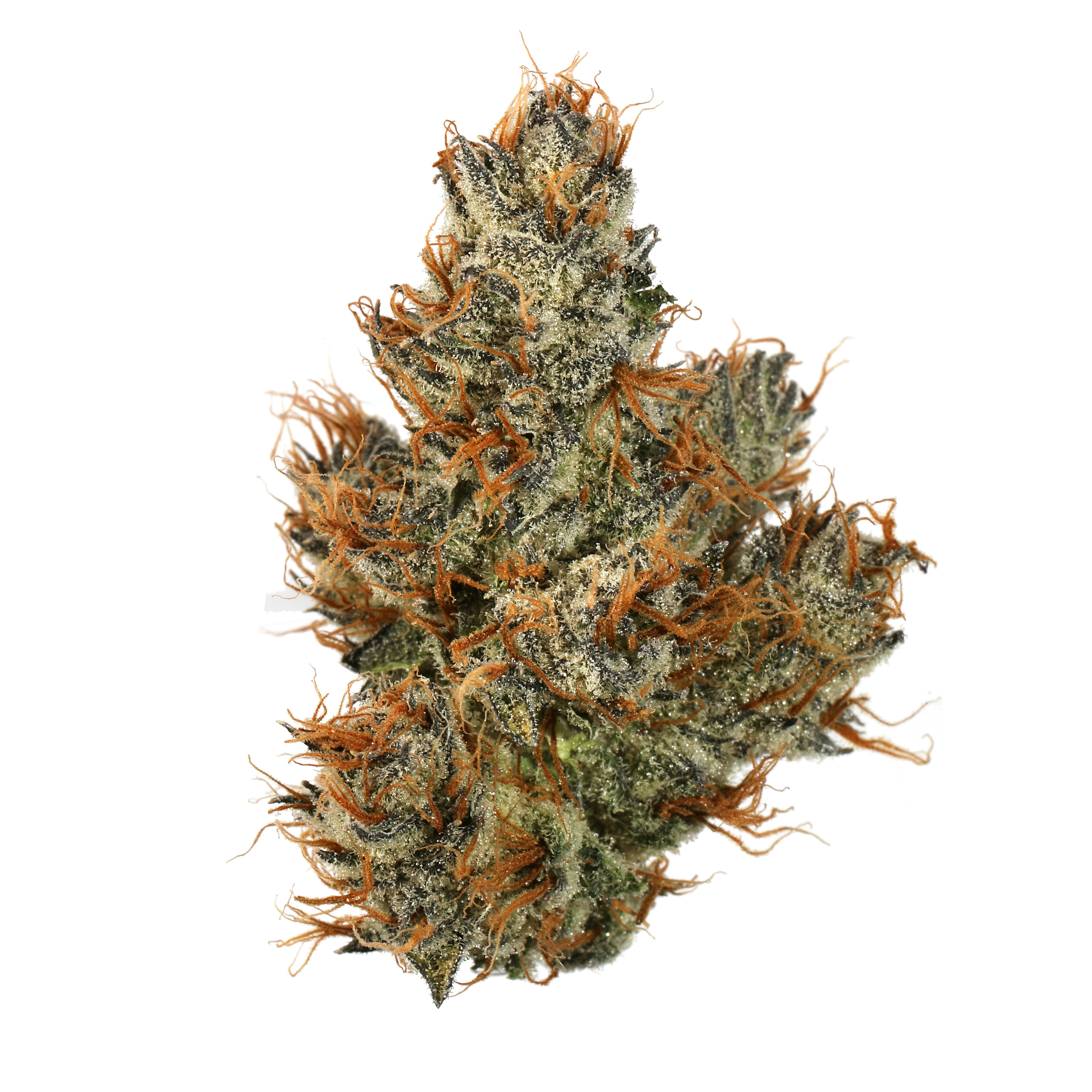 Original Green Bud - Seed & Smith Cannabis