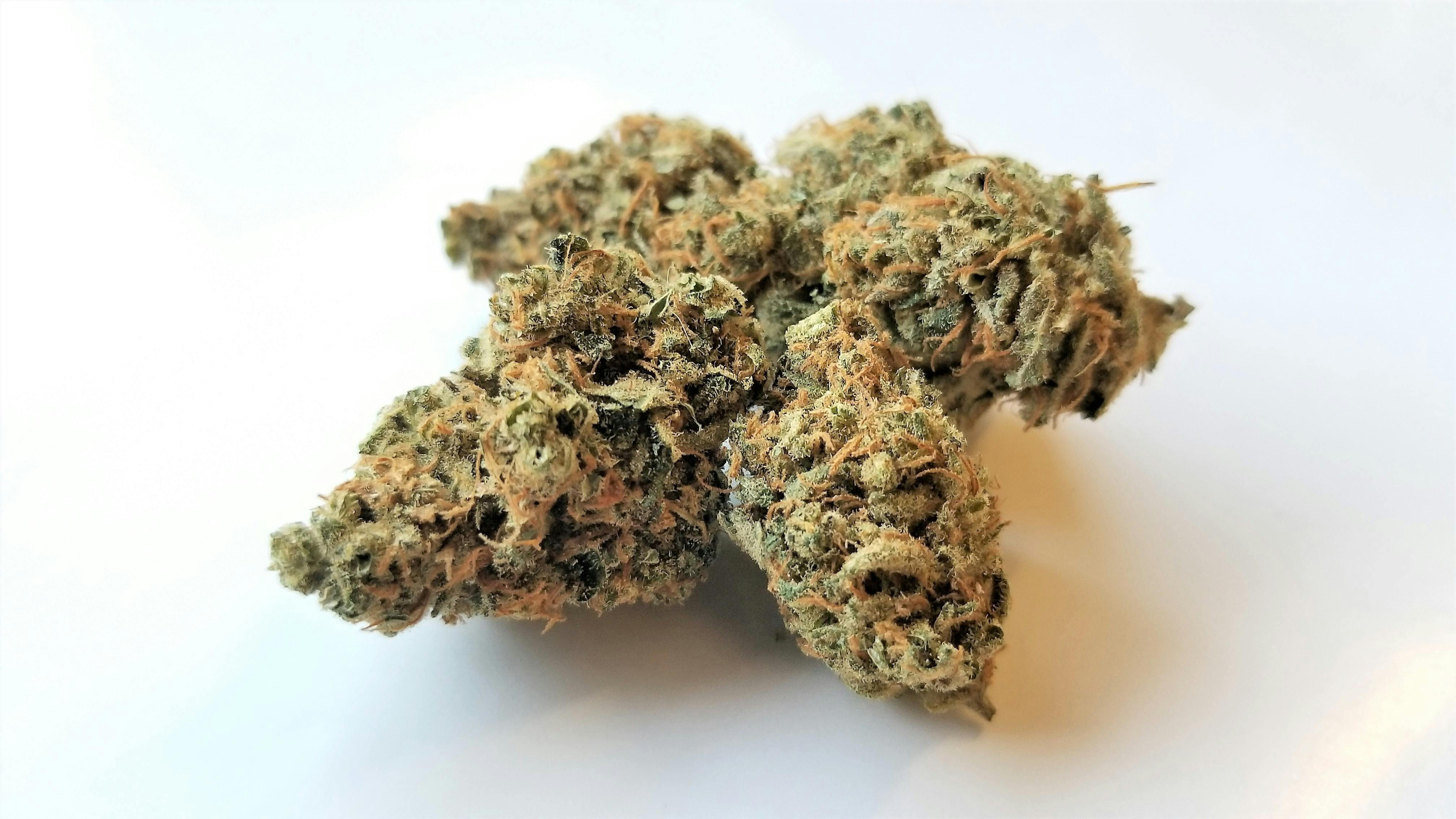 Aloha CBD - Pakalolo Supply Company