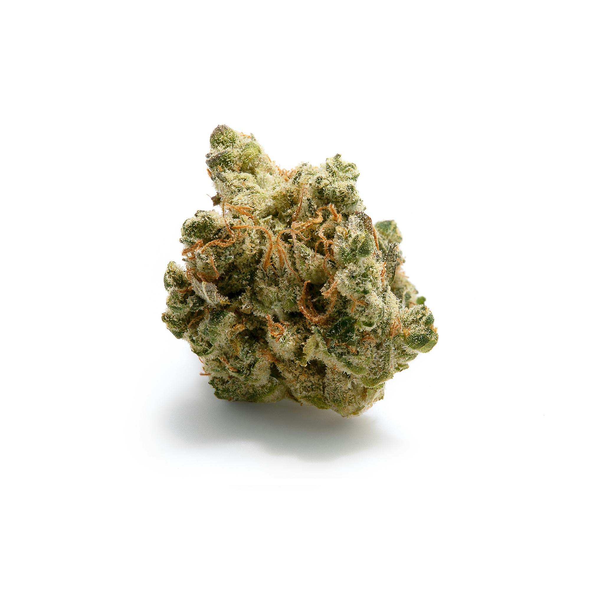 Honey Bear Kush - Tryke