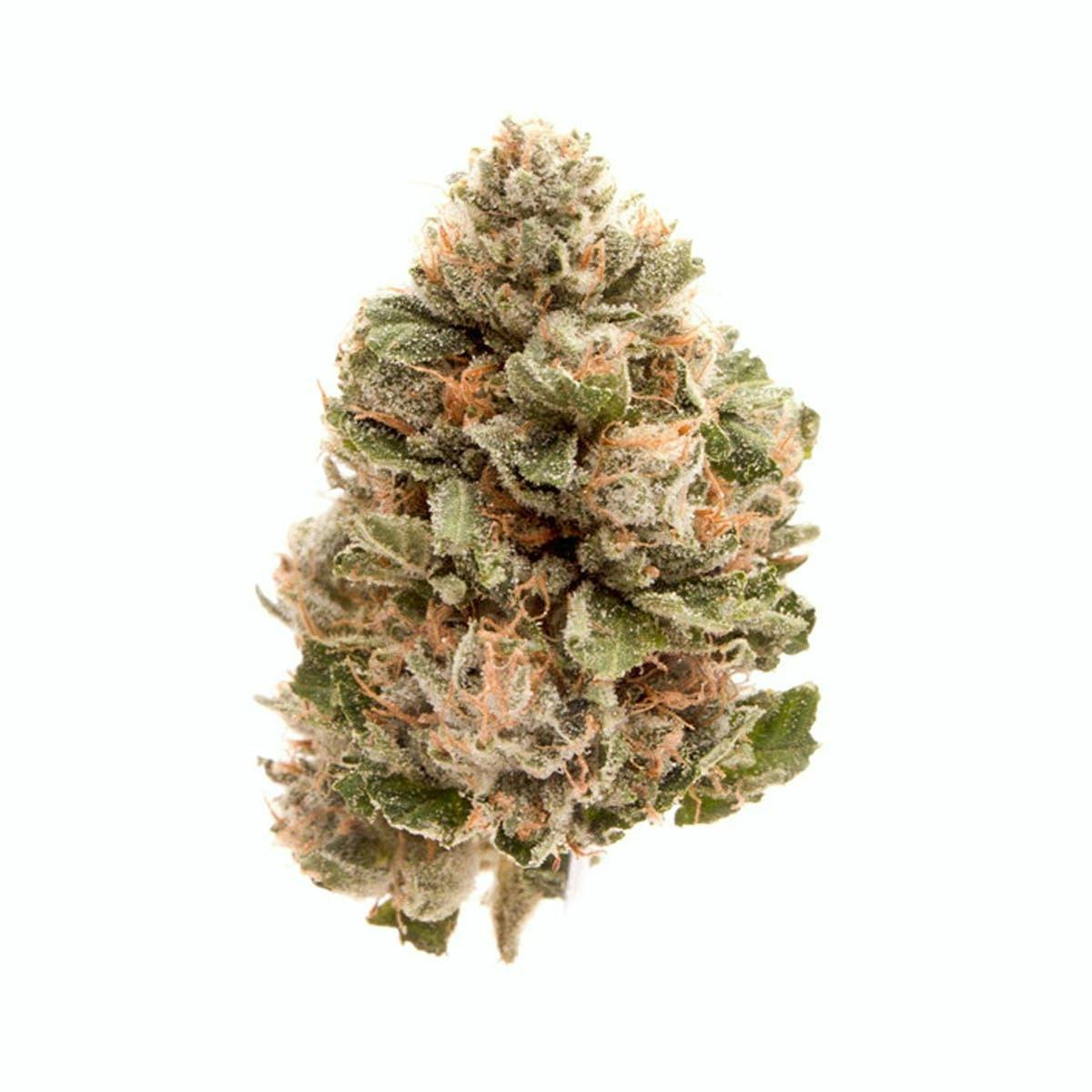 Diablo OG - Natty Rems