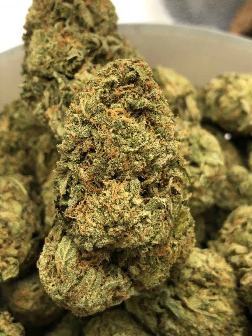 Golden Goat - Ruby Farms