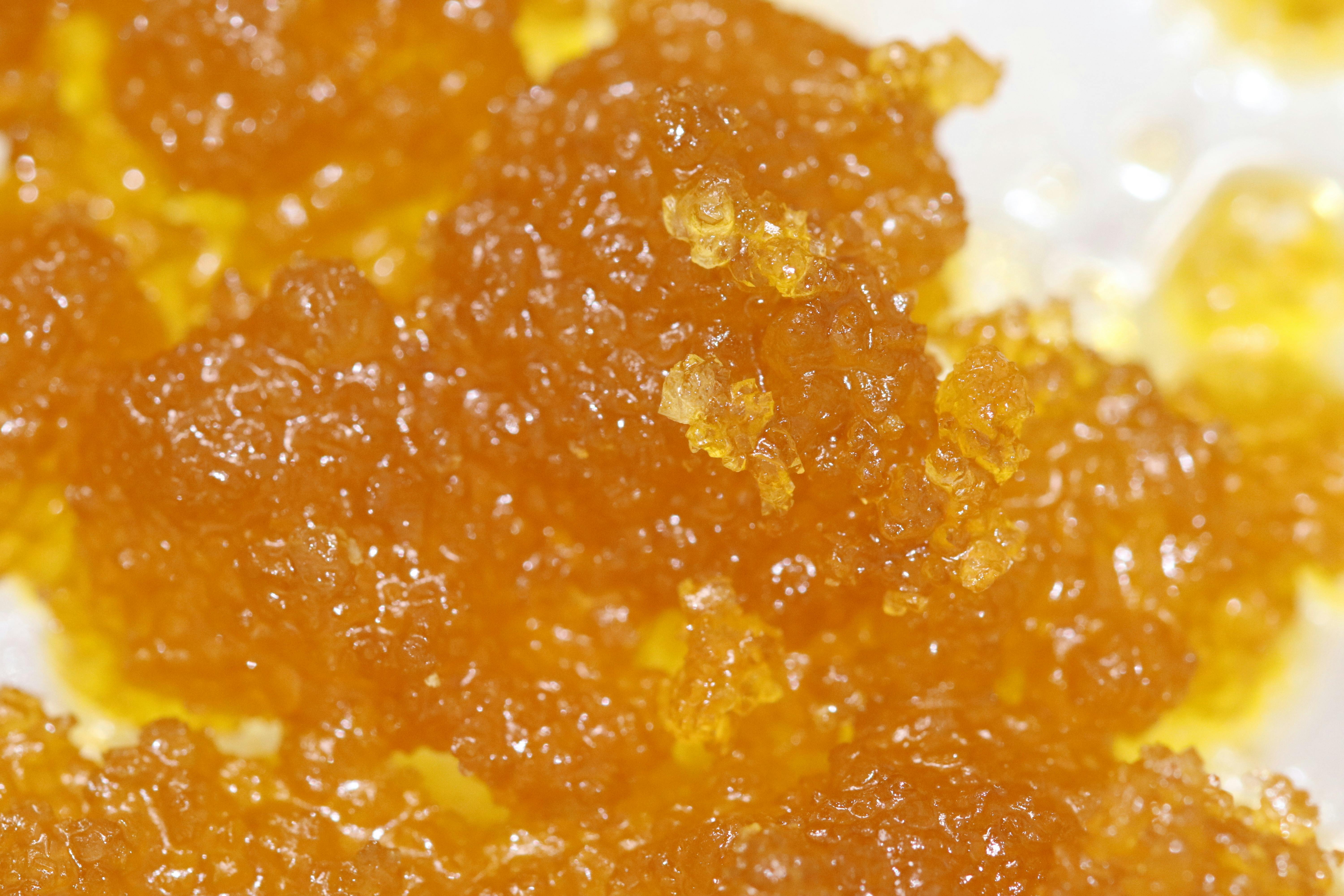 Octagon Kush - Chronic Creations