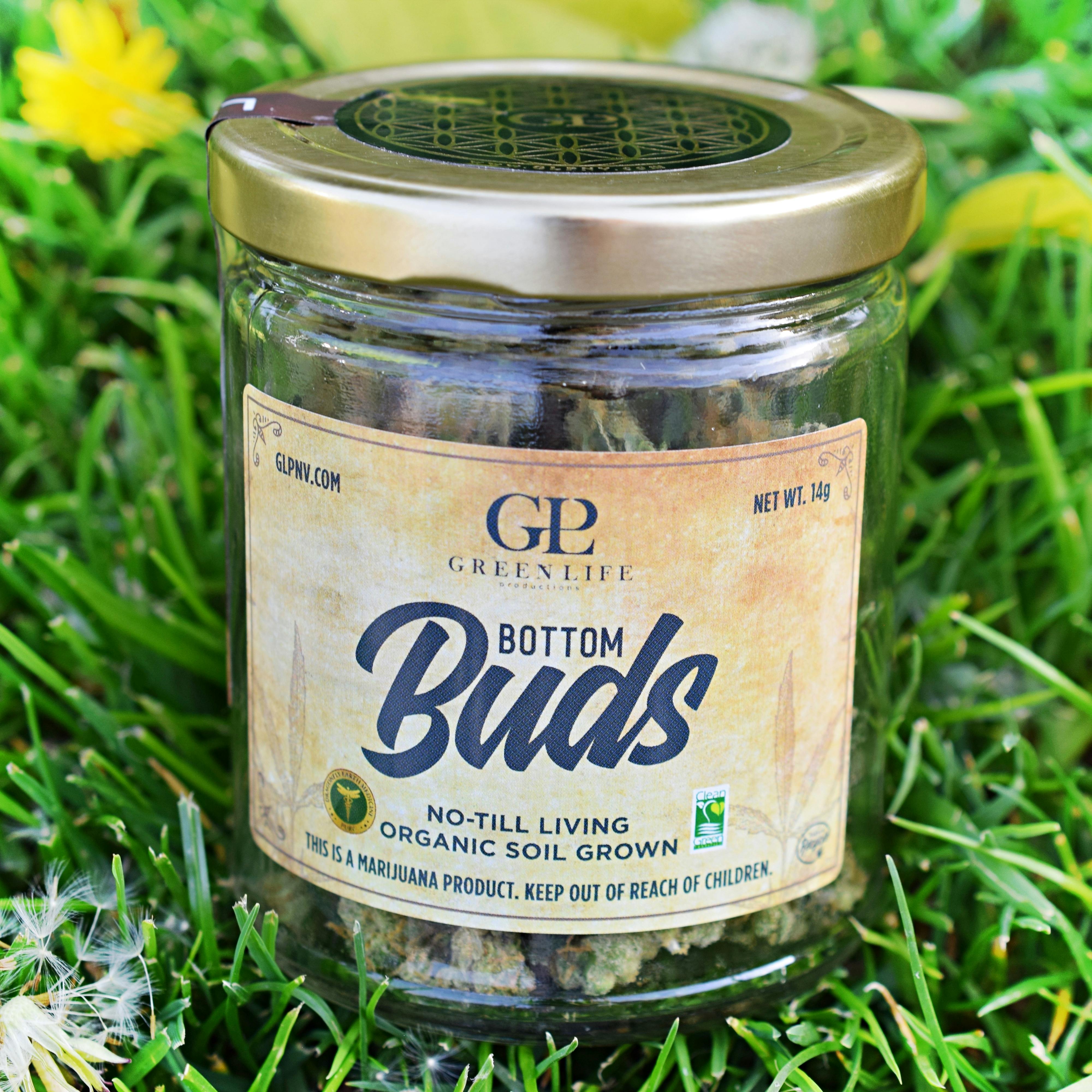 Bottom Buds - GLP