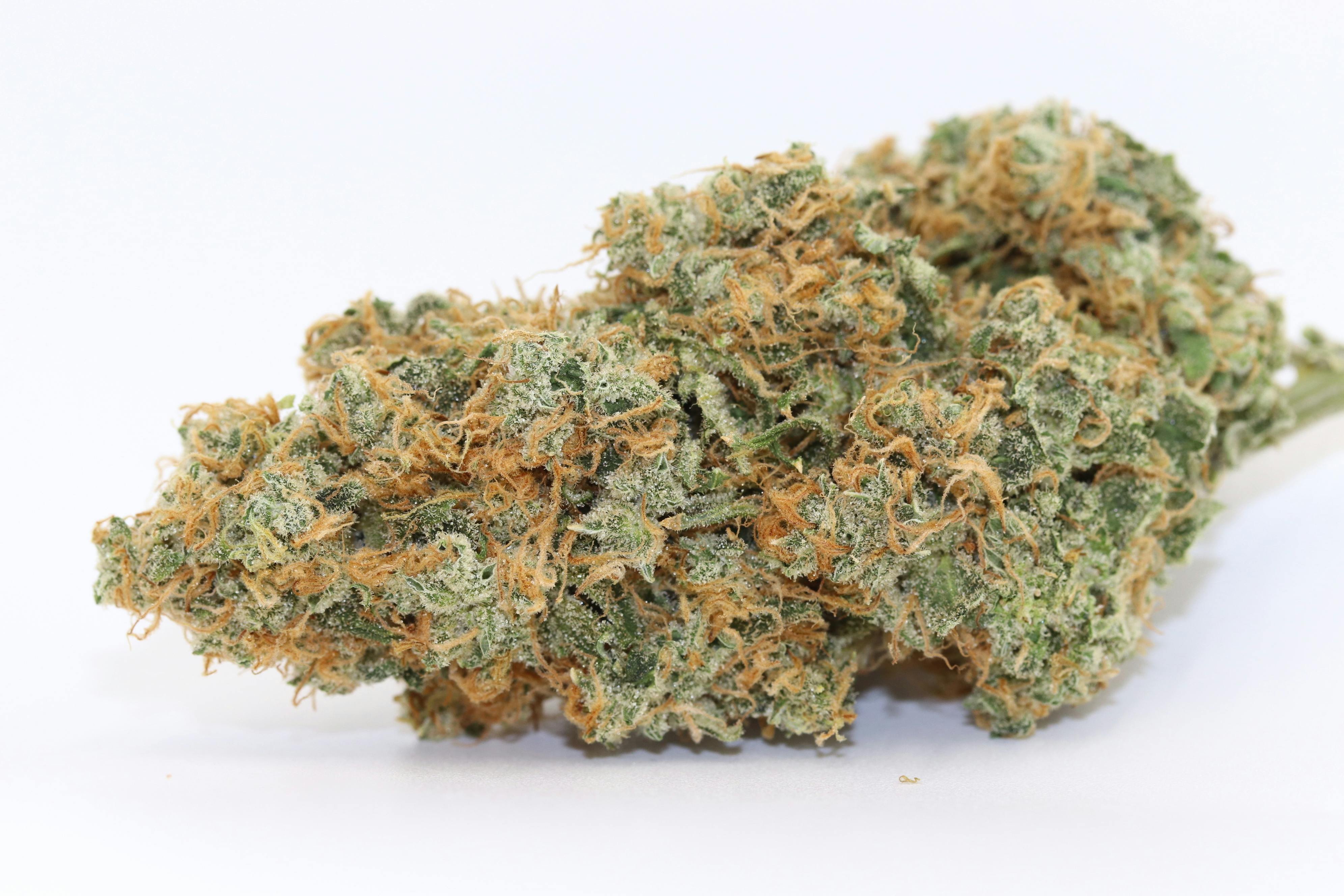 Chronic Haze - Elevation 207