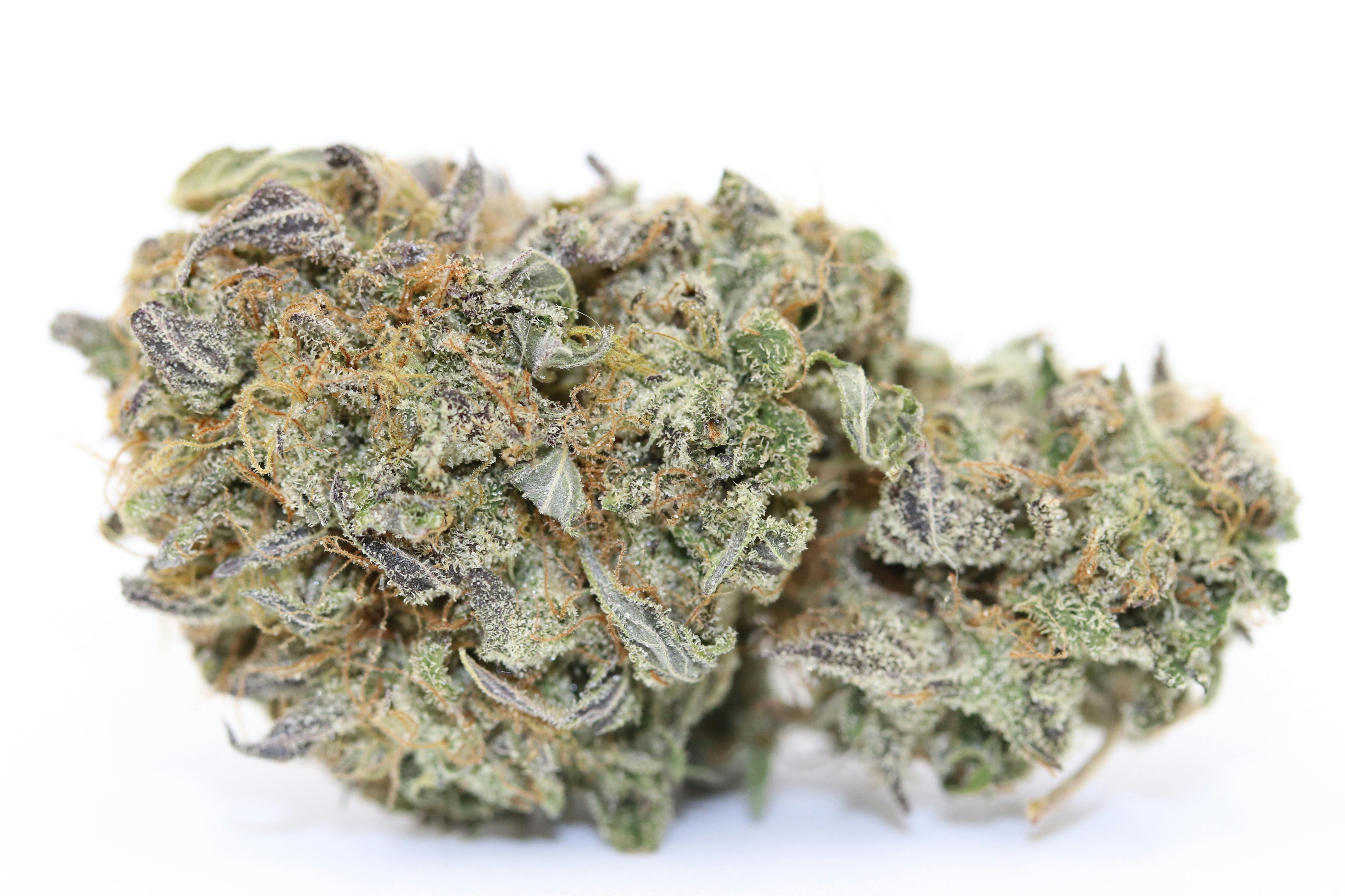 Koolato - Elevation 207