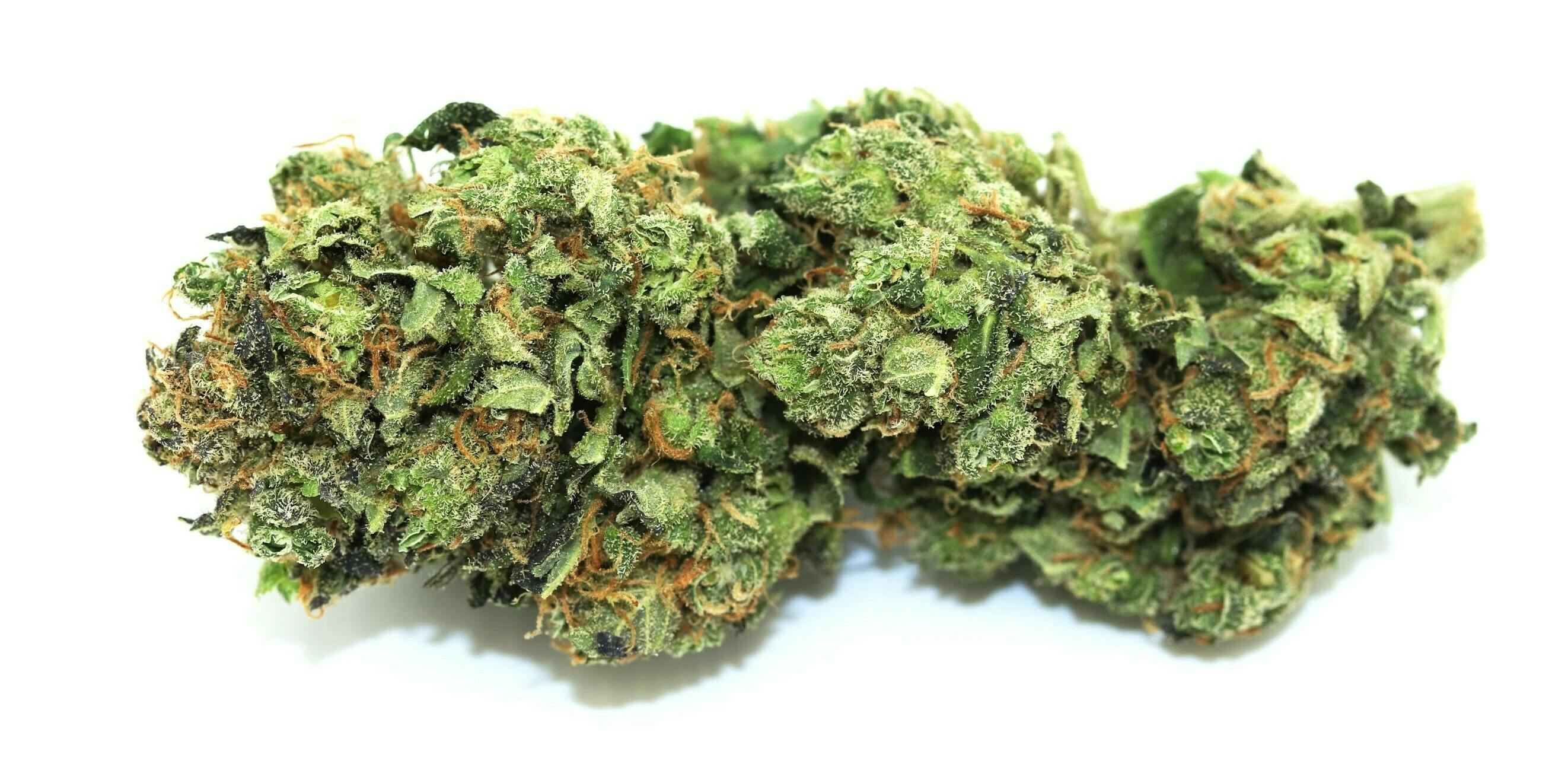 G13 Haze - Elevation 207