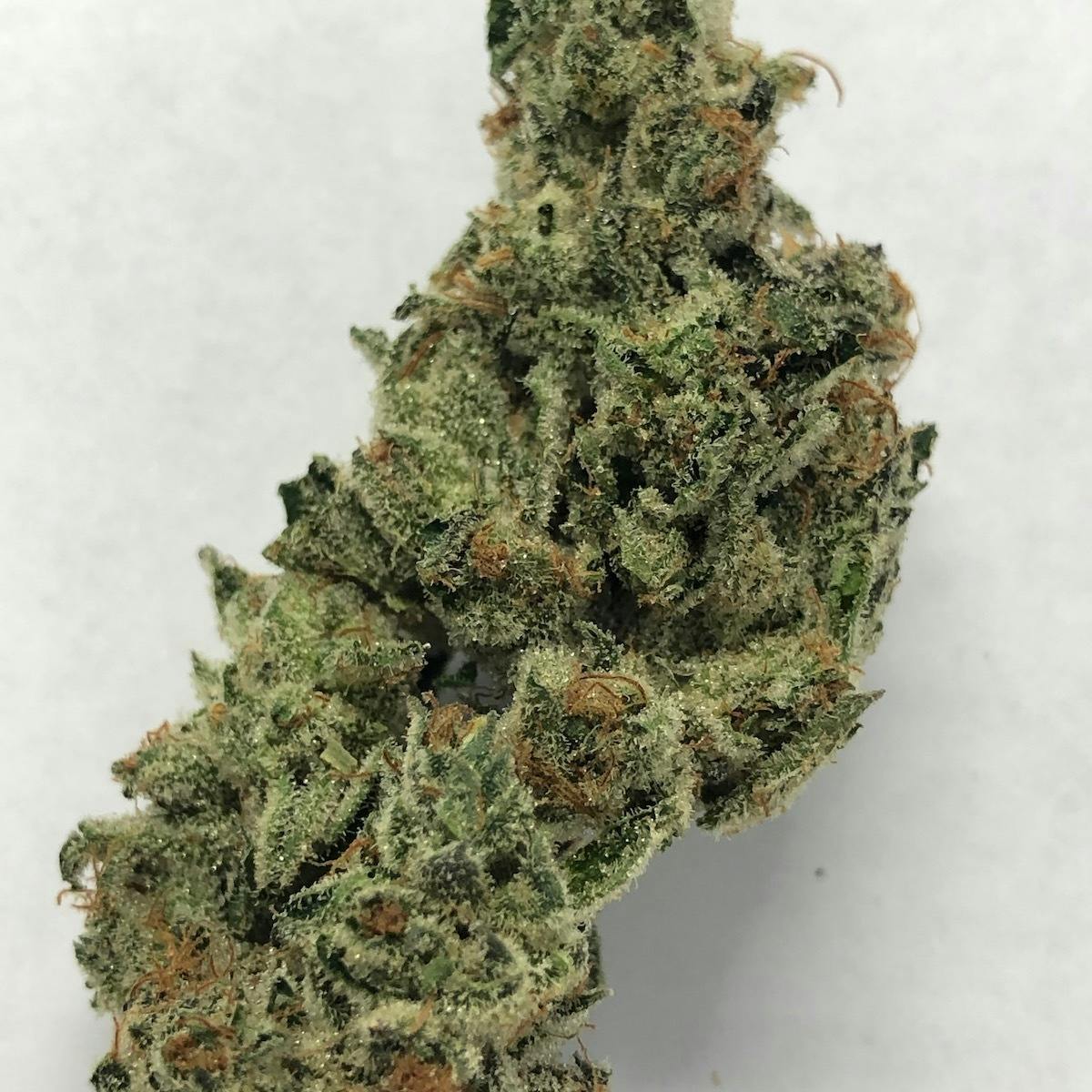 GG5 - Iron Lung (Medical)