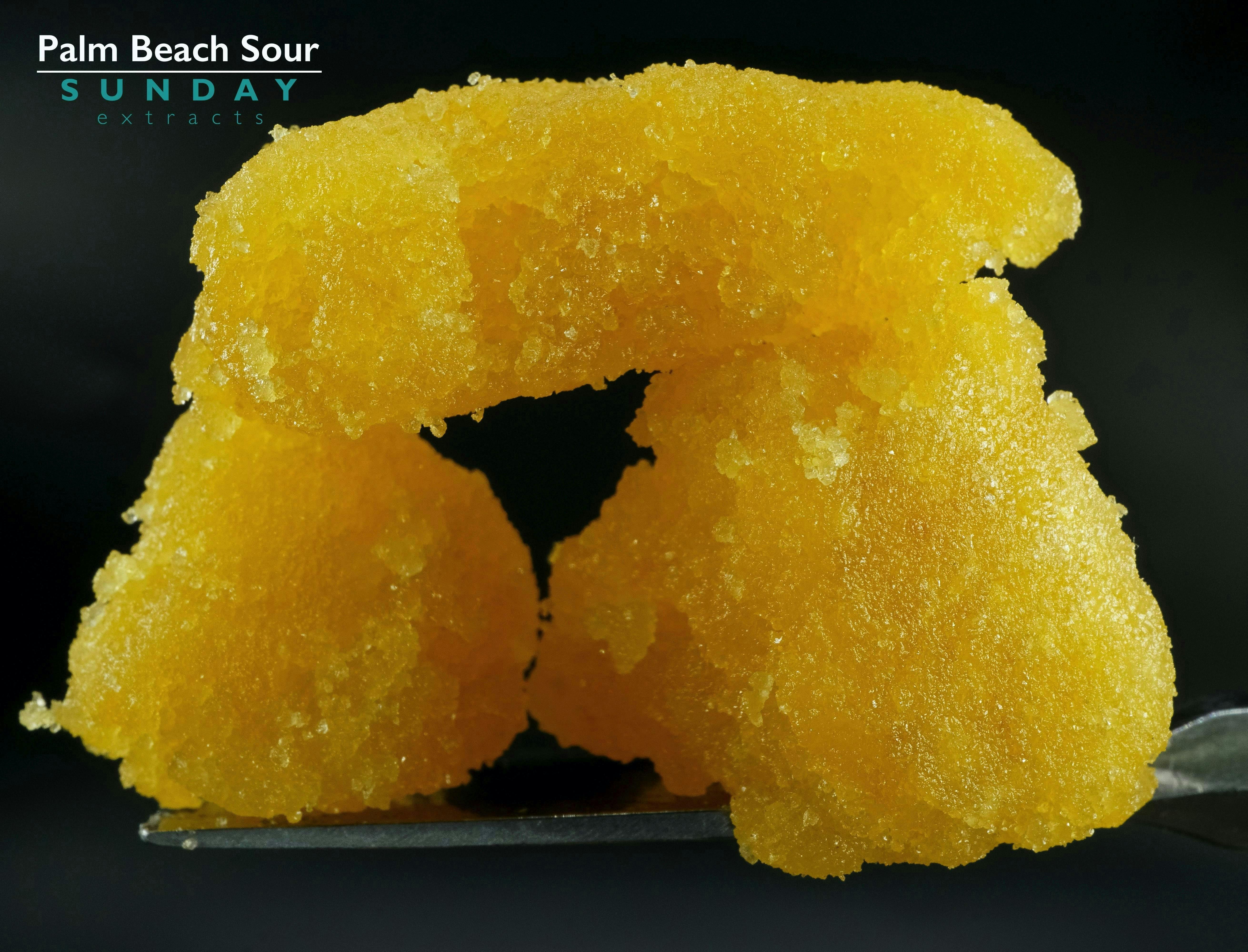 1g Concentrate Cured Resin - Palm Beach Sour - Sunday Extracts