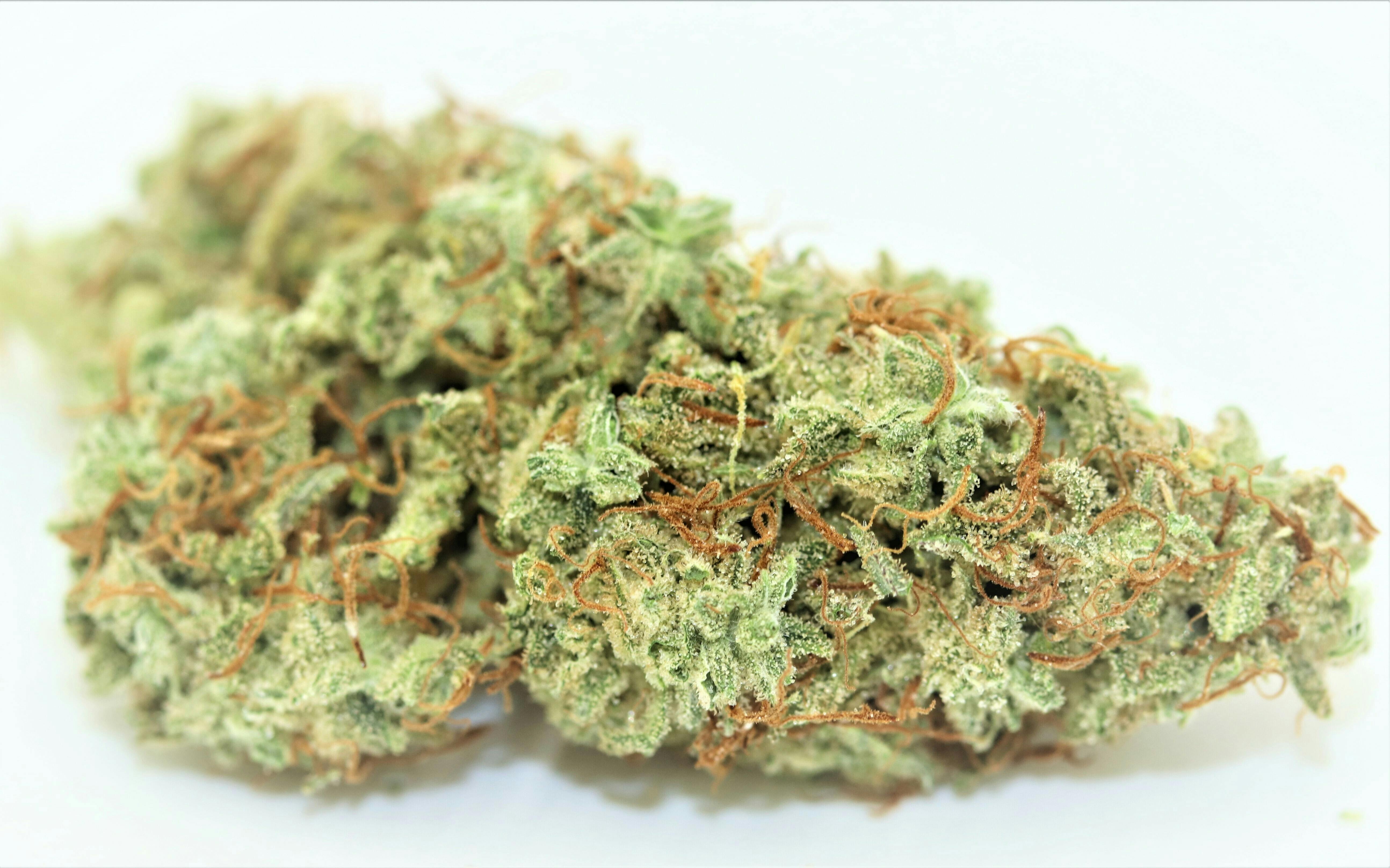 Lavender Diesel - Elevation 207