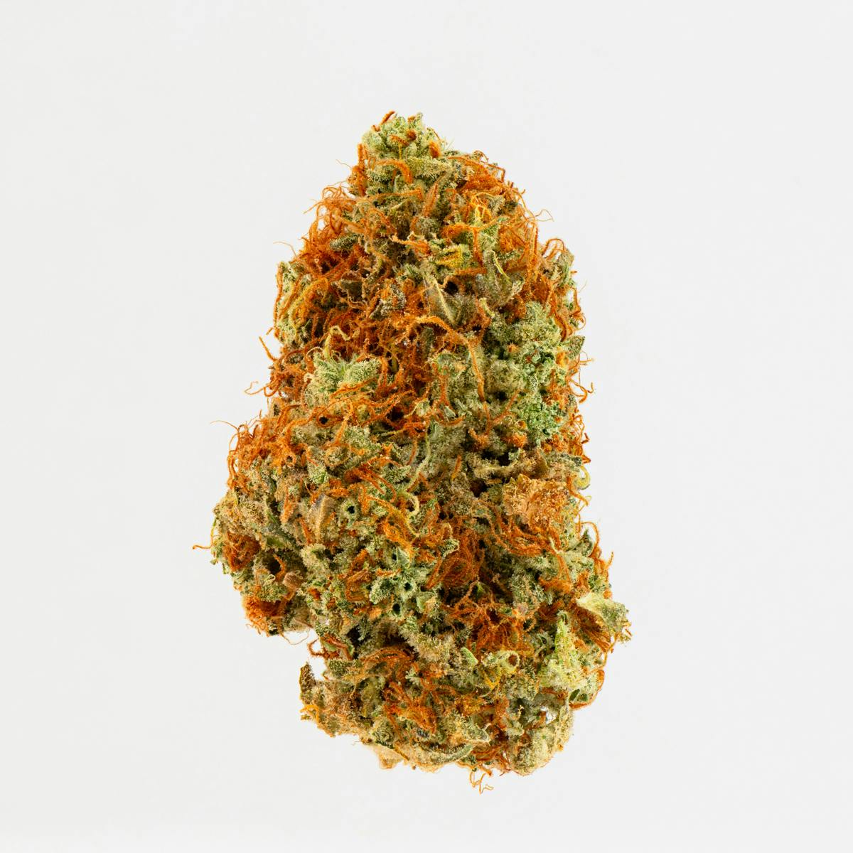 Tahoe OG #3 - Brigid Farm