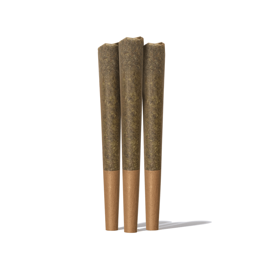 Blue Note Pre Rolls - Fluent