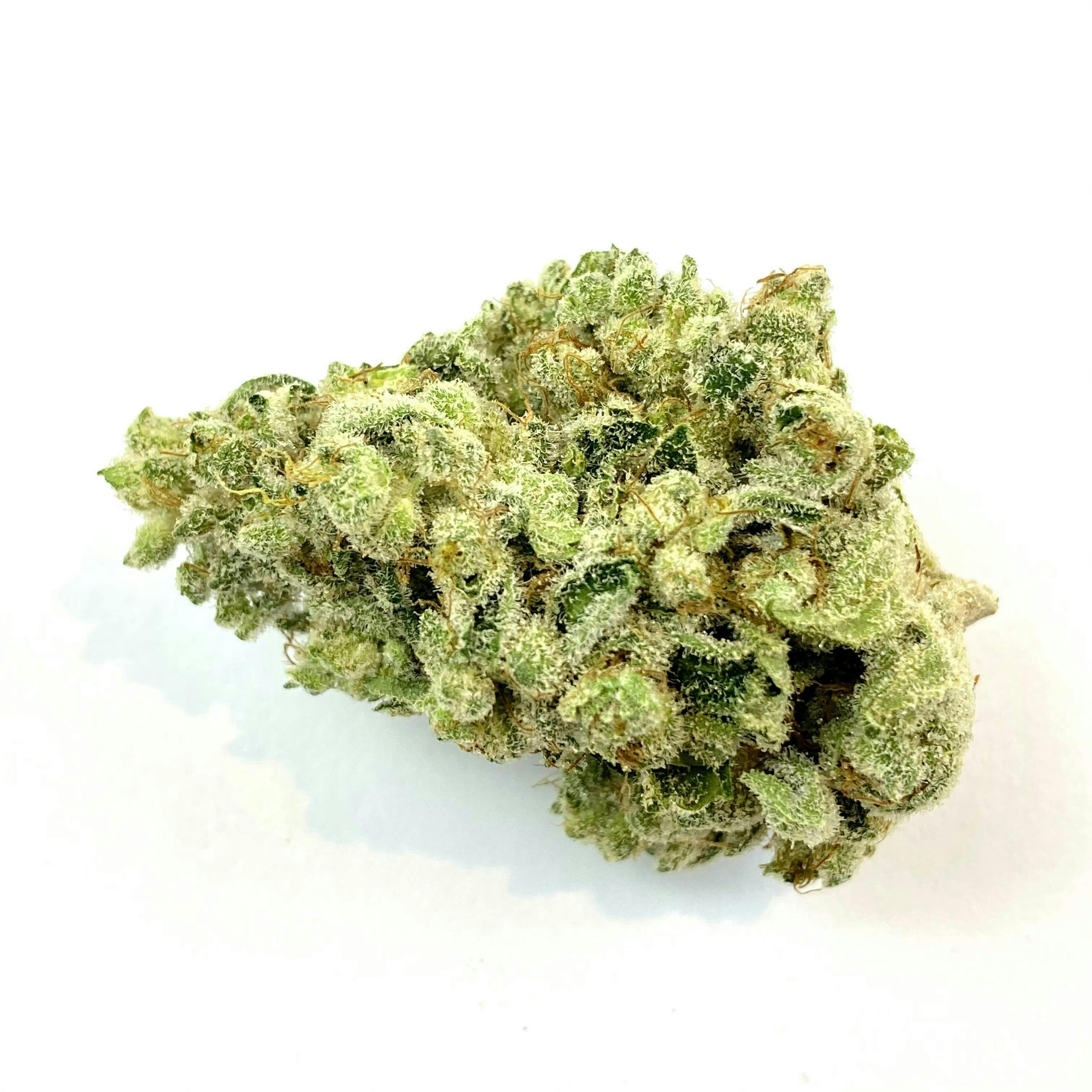 Dual OG - Indico