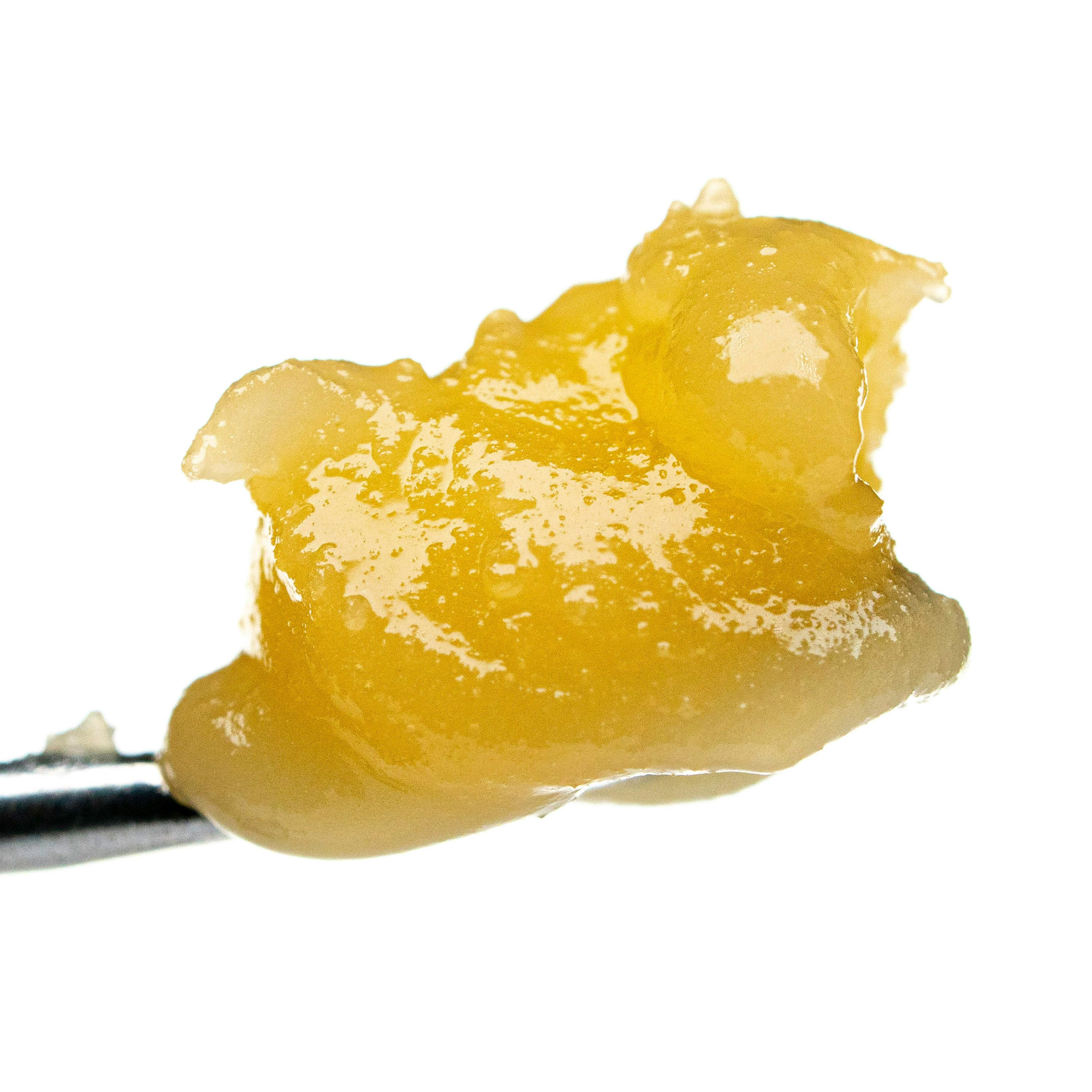 Tally Mon Badder SAVAGE X MEDCARE FARMS - SAVAGE