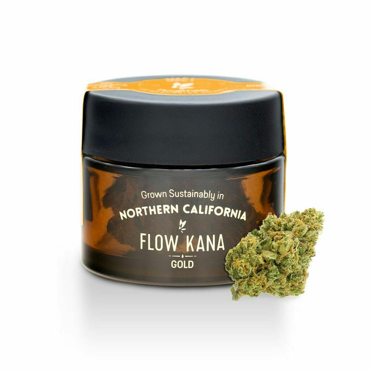 Jack Dream by MVF South | Gold - Flow Kana